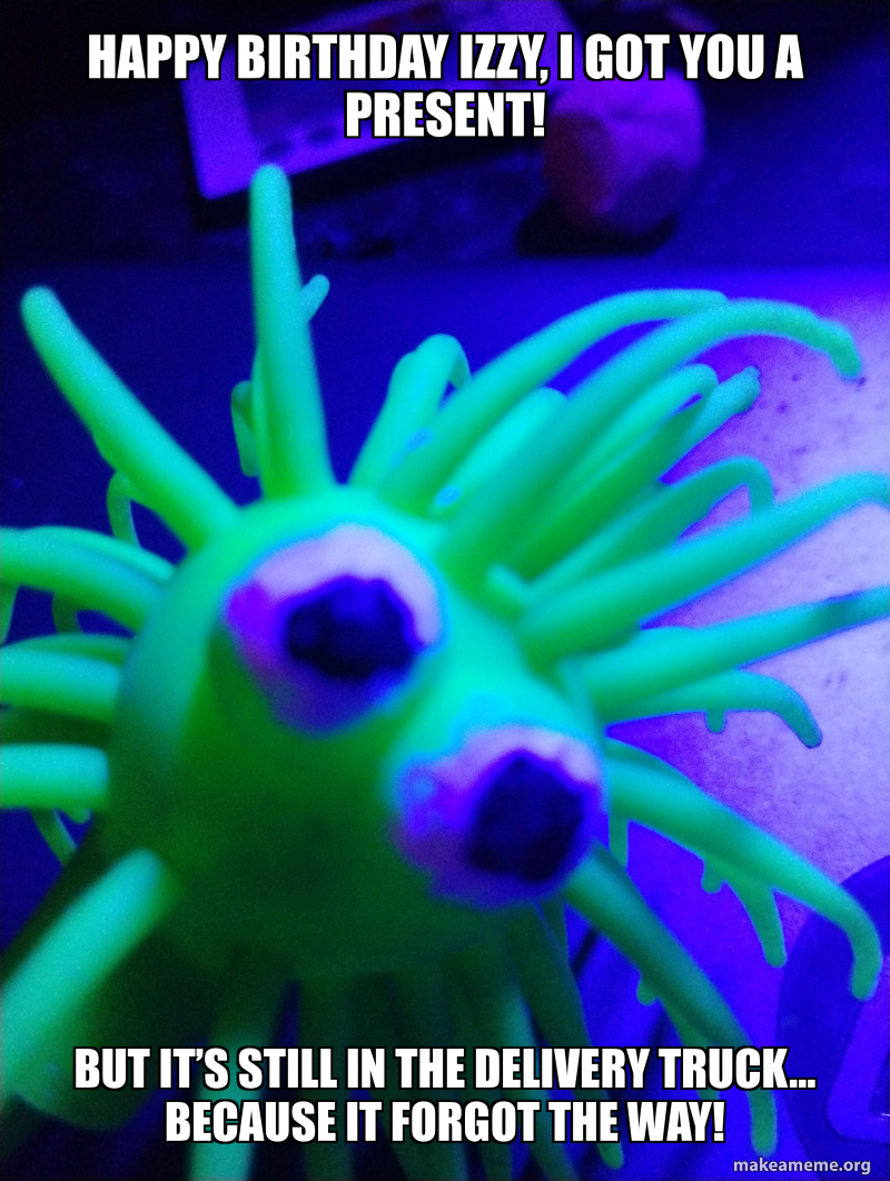 Happy Birthday Izzy, I got you a present! But it’s still in the ...