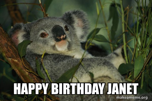 HAppy BIRTHDAy JaNET - Laid Back Koala Meme Generator