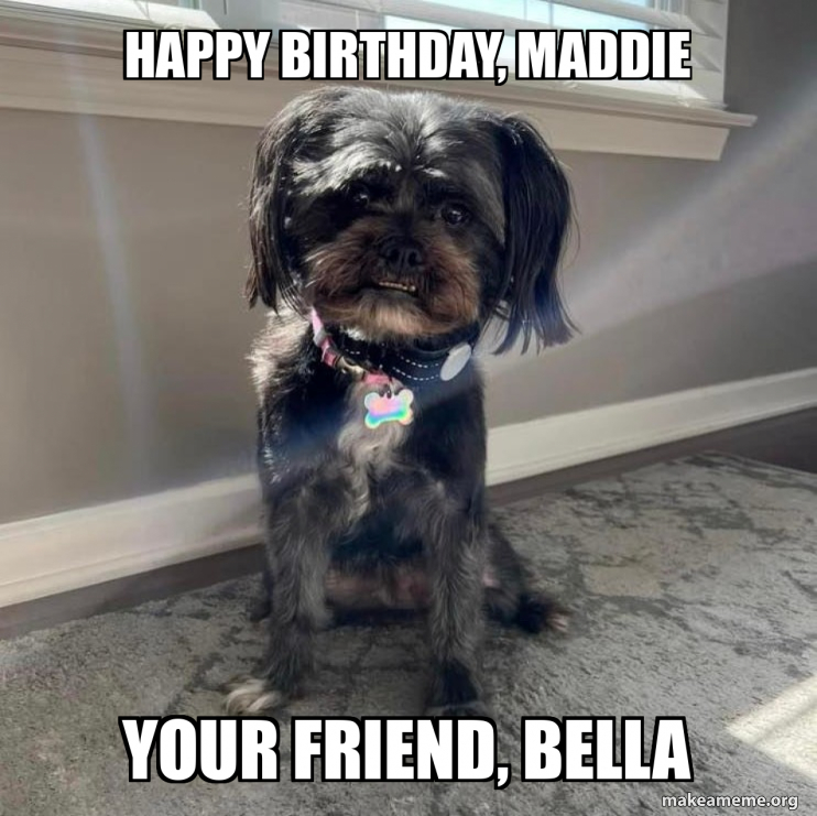 Happy Birthday, Maddie Your friend, Bella - Bella Meme Generator
