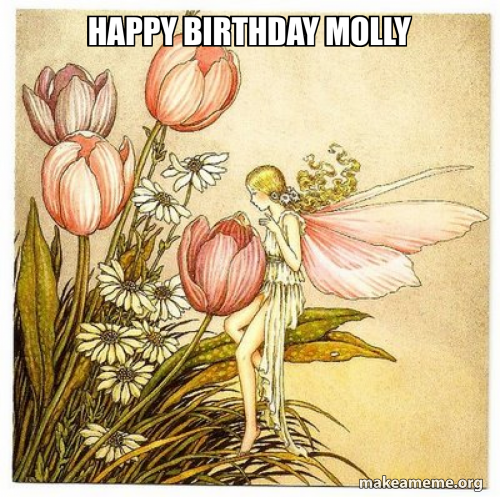 Happy birthday molly Meme Generator