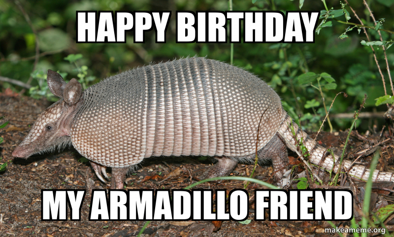 Happy Birthday My ARMADILLO Friend Meme Generator