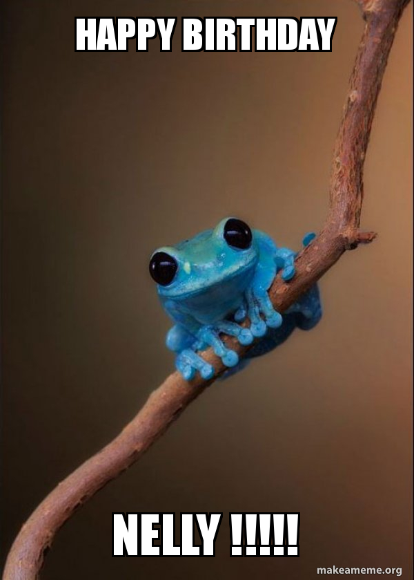 HAPPY BIRTHDAY NELLY !!!!! - Small Fact Frog Meme Generator