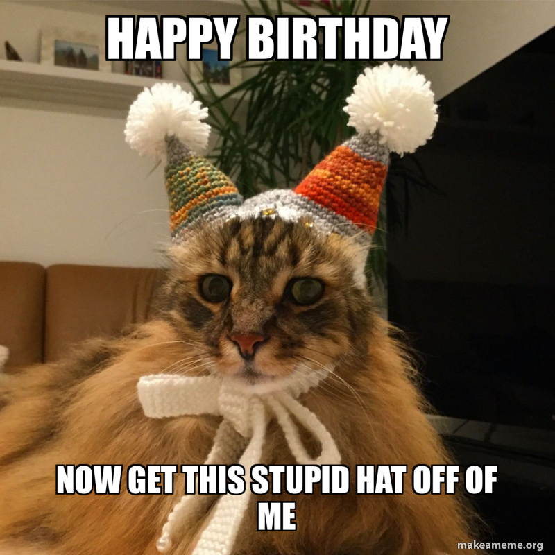 HaPpy BirthDay Now Get this stupid hat off of me Meme Generator