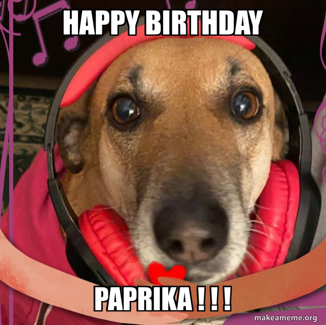 Happy Birthday Paprika ! ! ! Meme Generator