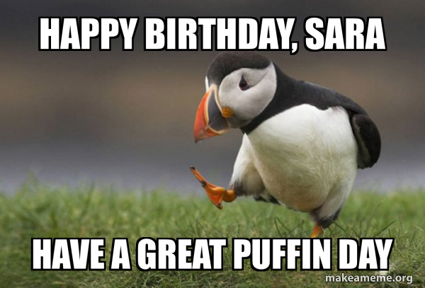 Happy Birthday, Sara Have a great puffin day - Unpopular Opinion Puffin ...