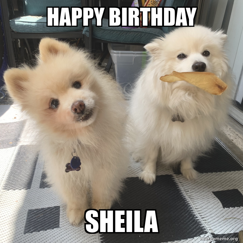 Happy birthday Sheila Meme Generator