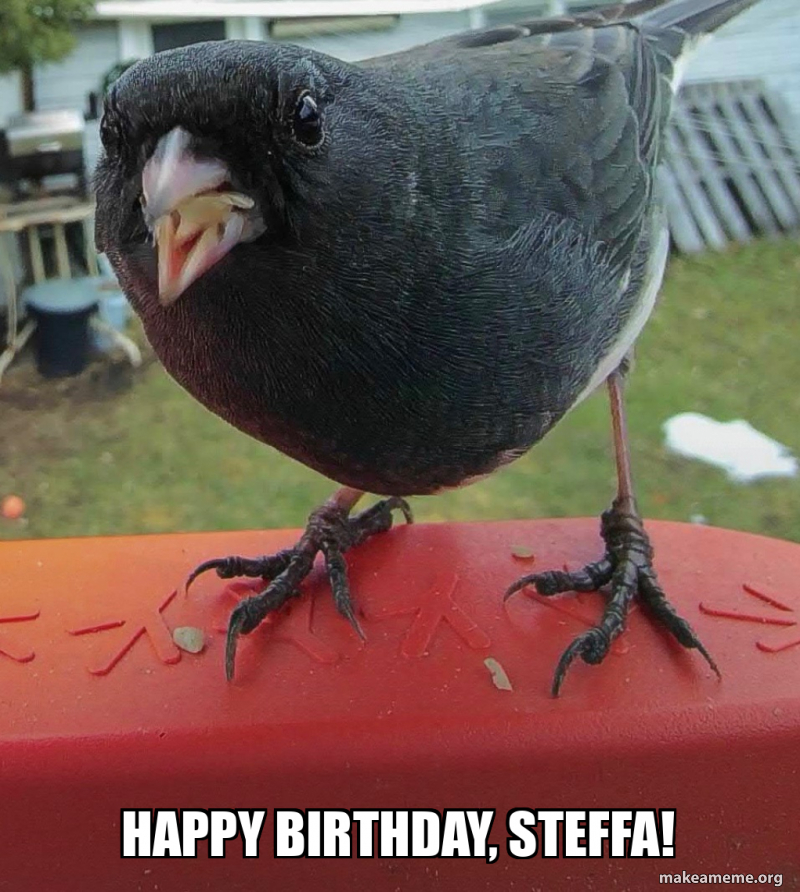 Happy Birthday, steffa! Meme Generator