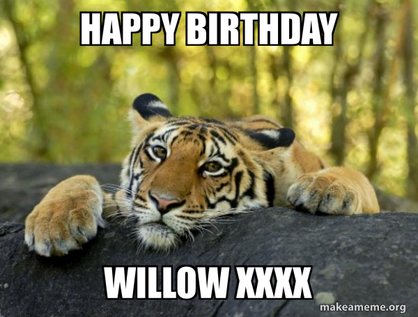 Happy Birthday Willow xxxx - Confession Tiger Meme Generator