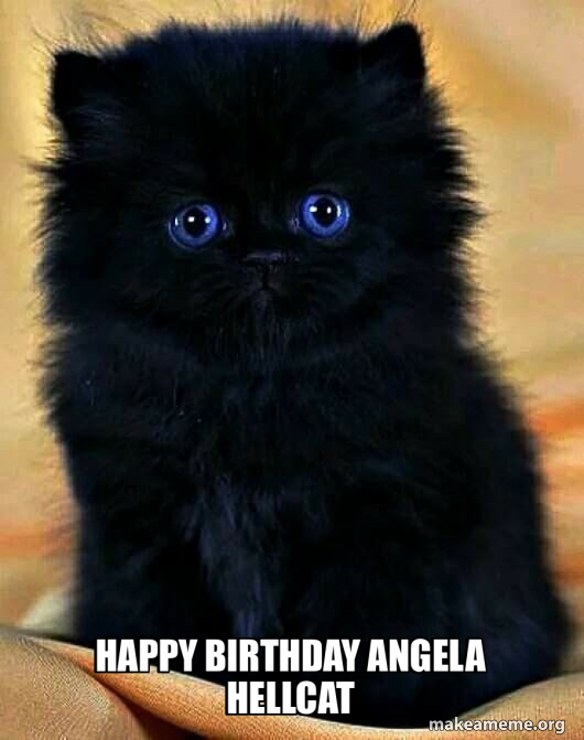 Happy Birthday Angela Hellcat Meme Generator