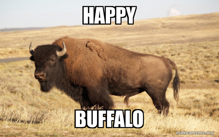 Happy Buffalo Meme Generator