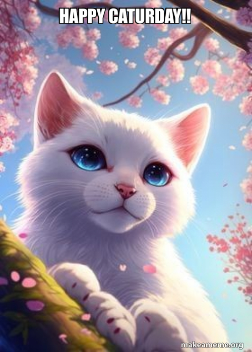 HAPPY CATURDAY!! Meme Generator