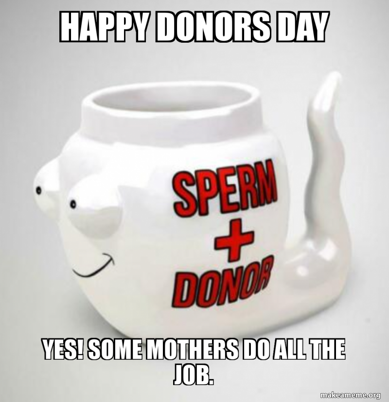 Happy donors day Yes! Some mothers do all the job. Meme Generator