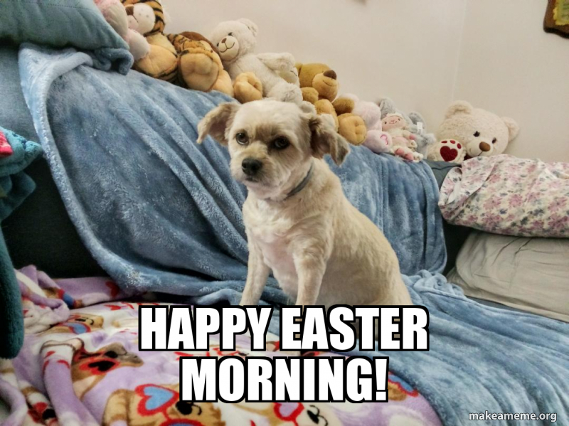 Happy Easter Morning! Meme Generator