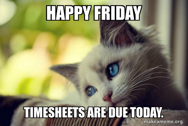 happy friday timesheets are due today. - First World Cat Problems Meme ...