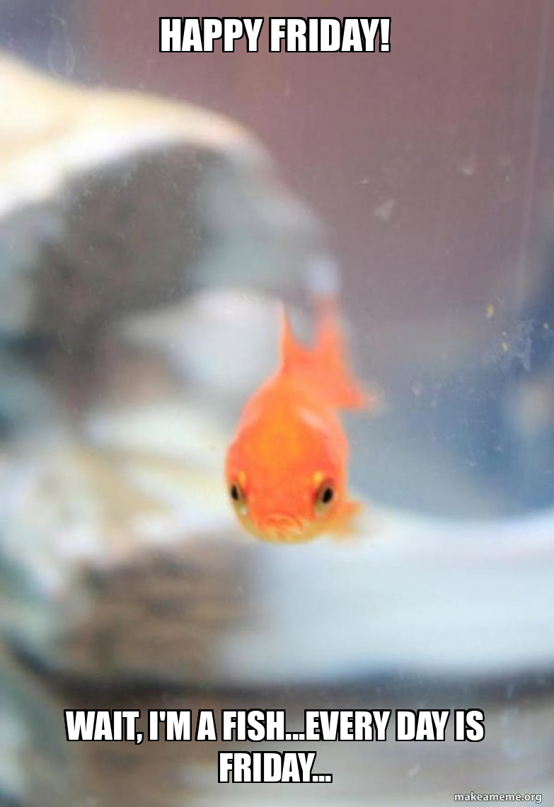Happy Friday! Wait, I'm a fish...Every day is Friday... - Grumpy Fish ...