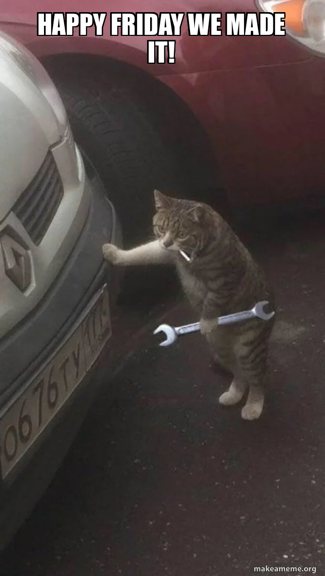 Happy friday we made it! - Mechanic Cat Meme Generator