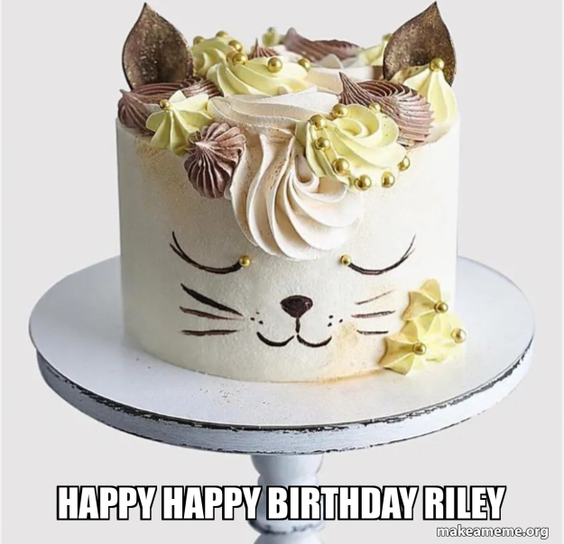 Happy Happy birthday Riley Meme Generator