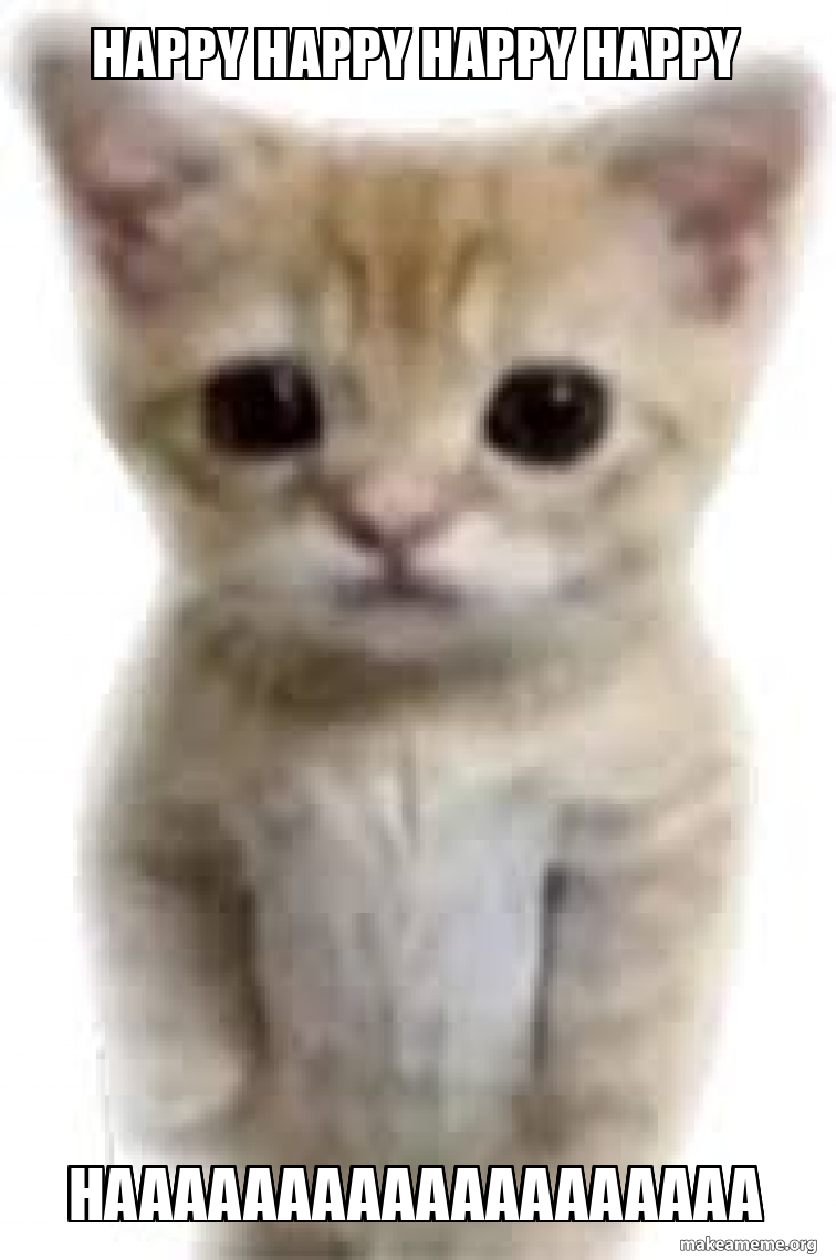 Happy happy happy happy HAaaaaaaaaaaaaaaaaaa Meme Generator