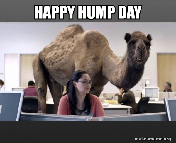 HAPPY HUMP DAY - Hump Day Camel Meme Generator