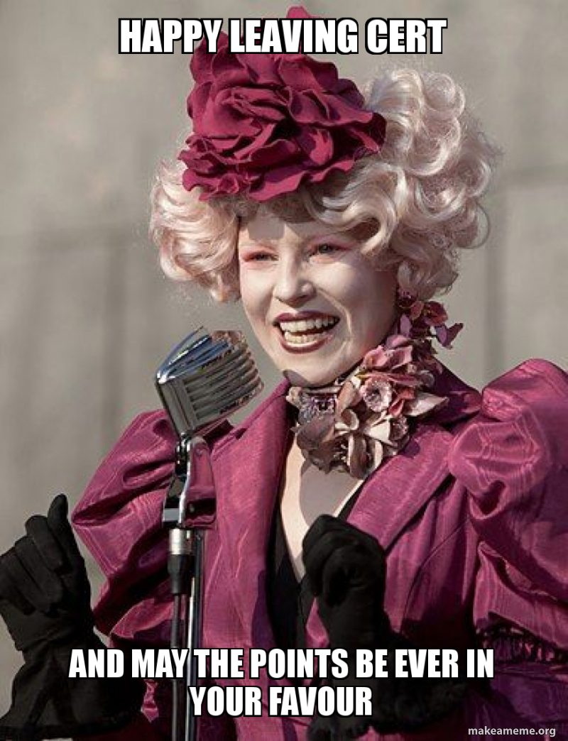 Happy Leaving Cert And may the points be ever in your favour Meme Generator