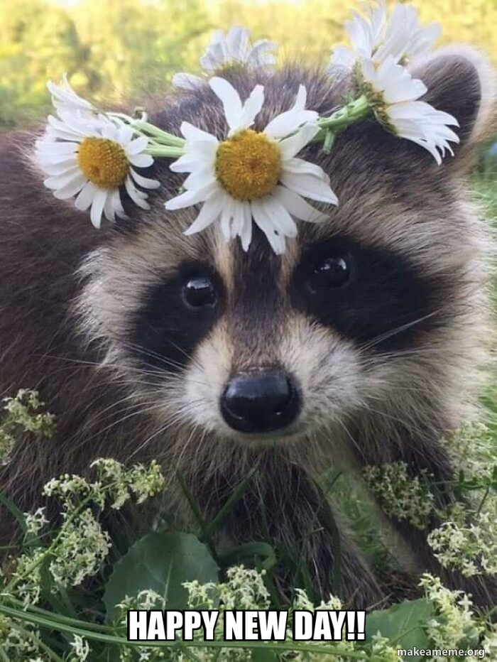 Happy NEw day!! Meme Generator