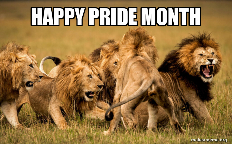 Happy pride month Meme Generator
