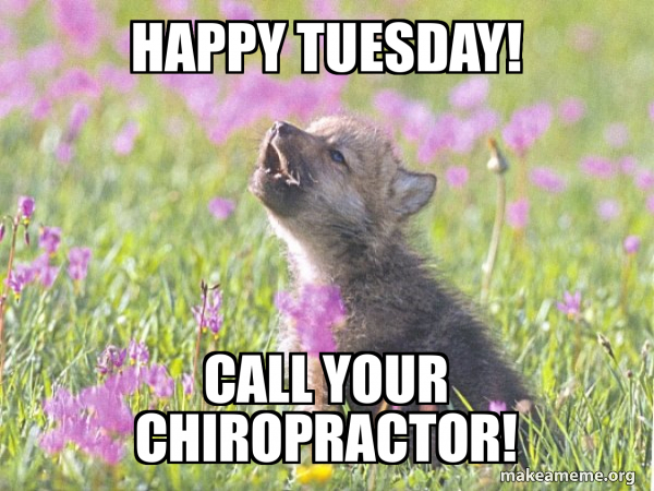 Happy Tuesday! Call your Chiropractor! - Baby Insanity Wolf Meme Generator