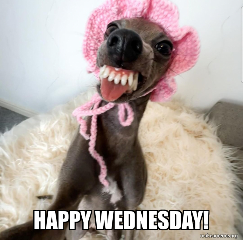 Happy Wednesday! Meme Generator