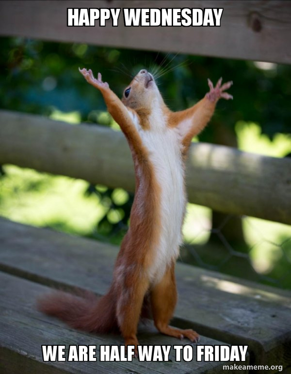 Happy Wednesday We are half way to Friday - Happy Squirrel Meme Generator