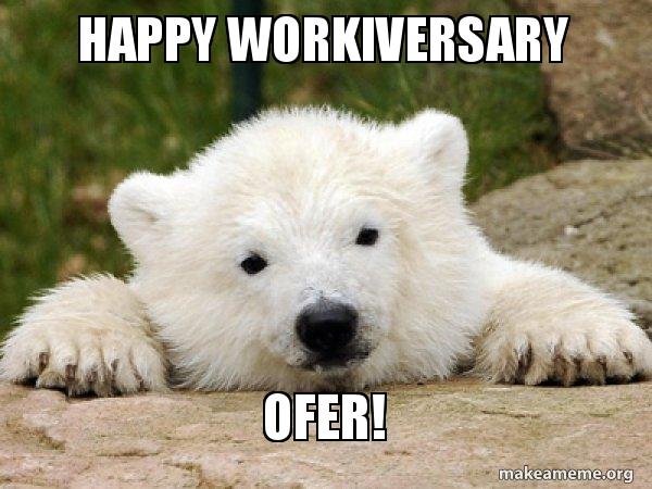 Happy Workiversary Ofer! - Popular Opinion Bear Meme Generator