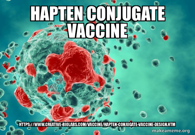 Hapten Conjugate Vaccine https://www.creative-biolabs.com/vaccine ...