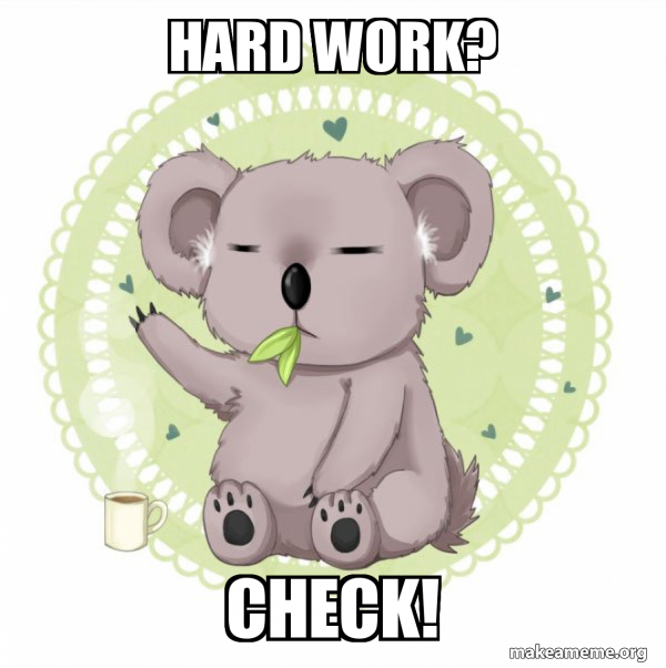 Hard Work? Check! - Aussie Koala doing the night shift Meme Generator