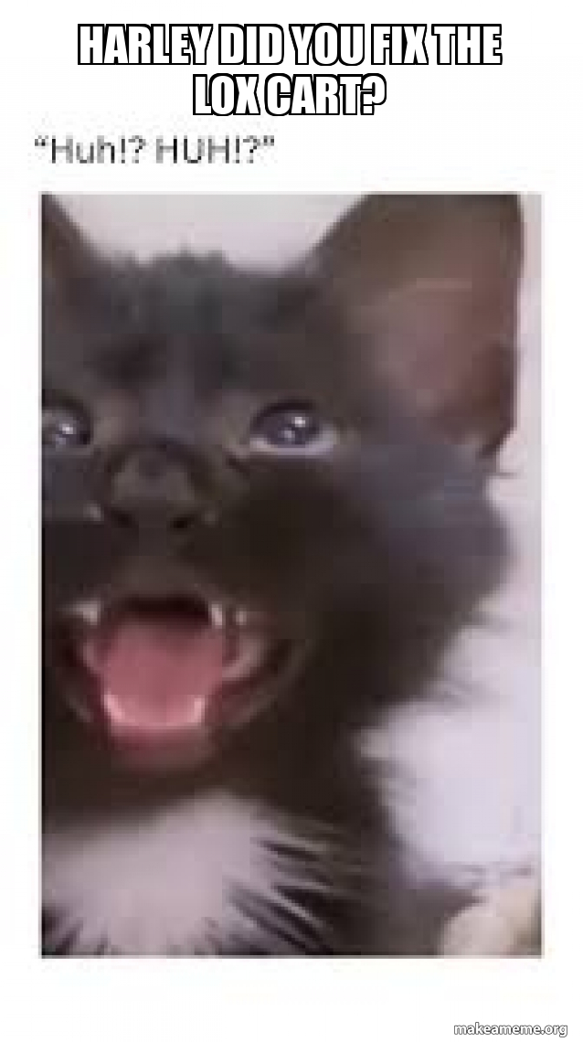 HARley did you fix the lox cart? Meme Generator