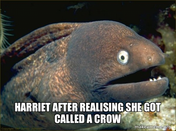 Harriet after realising she got called a crow - Bad Joke Eel Meme Generator