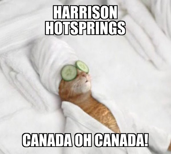 harrison hotsprings canada oh canada! - Pampered Cat Meme Meme Generator