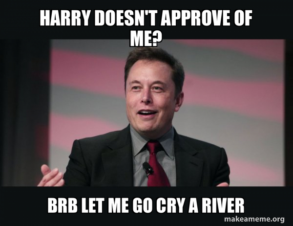 Harry doesn't approve of me? Brb let me go cry a river - Elon Musk Meme ...