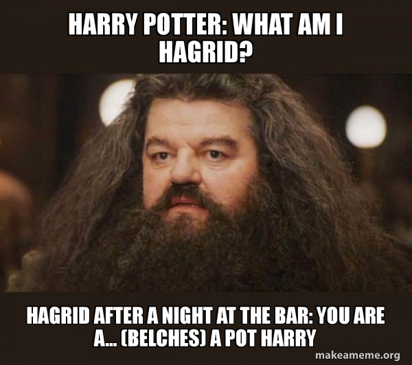 Harry potter: What am I Hagrid? Hagrid after a night at the bar: you ...