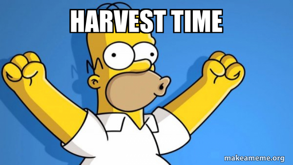 HARVEST TIME - Happy Homer Meme Generator