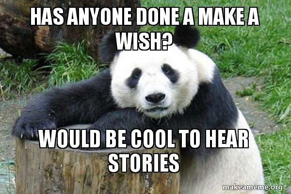 Has anyone done a Make A Wish? Would be cool to hear stories ...