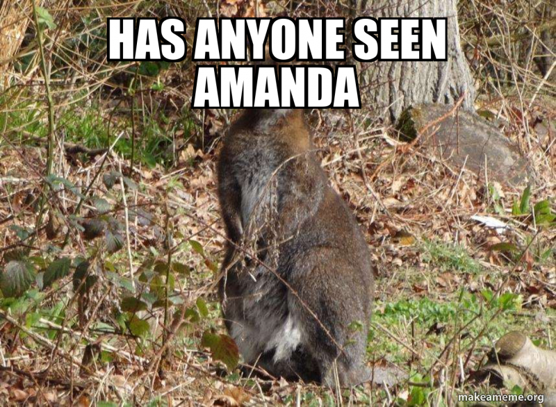 Has anyone seen Amanda Meme Generator