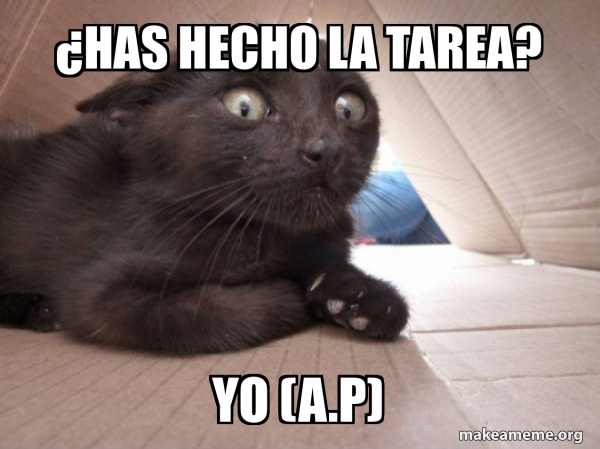 ¿Has hecho la tarea? Yo (A.P) - Schitzo Cat Meme Generator