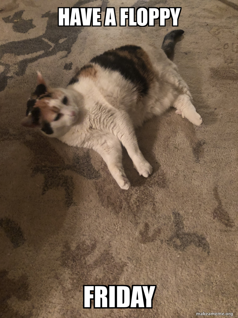 Have a floppy Friday Meme Generator