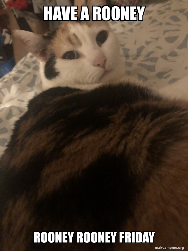 Have a rooney Rooney rooney friday Meme Generator