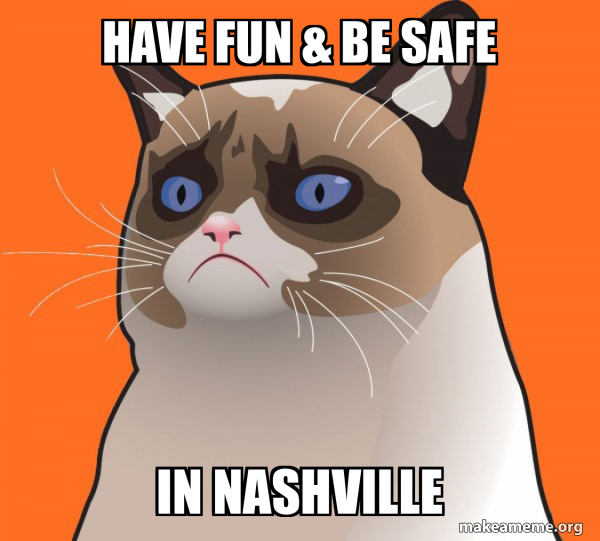 Have fun & be safe in Nashville - Cartoon Grumpy Cat Meme Generator