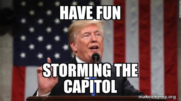 Have fun Storming the capitol - Donald Trump Meme Generator