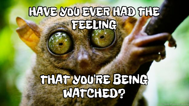 have you ever had the feeling that you're being watched? Meme Generator
