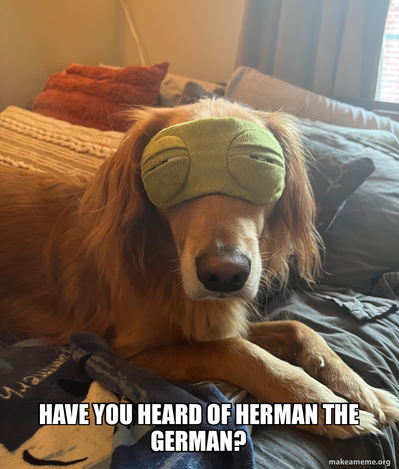 HAVE YOU HEARD OF HERMAN THE GERMAN? Meme Generator