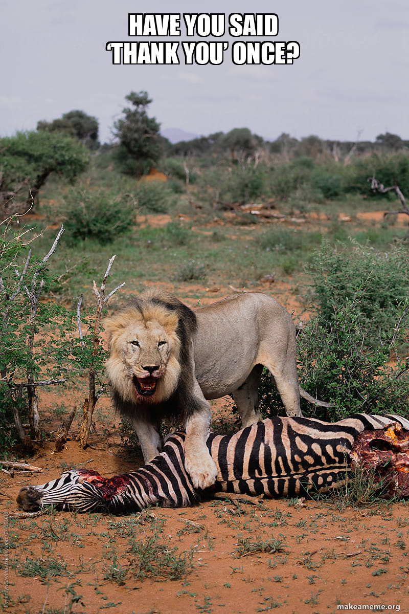 Have you said ‘Thank You’ once? Meme Generator