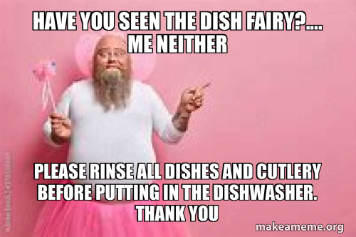 Have you seen the dish fairy?.... Me Neither please rinse all dishes ...