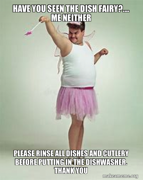 Have you seen the dish fairy?.... Me Neither please rinse all dishes ...